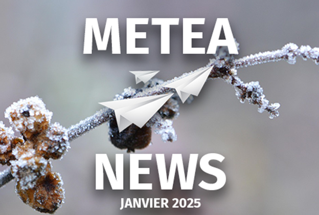 ACV-CSC METEA (metal et textile)