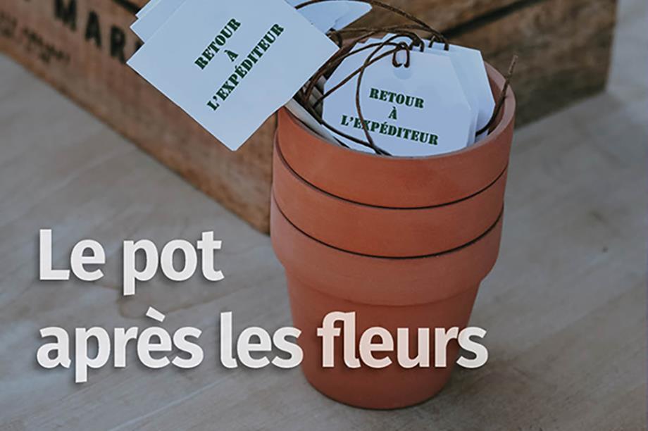 Le pot après les fleurs